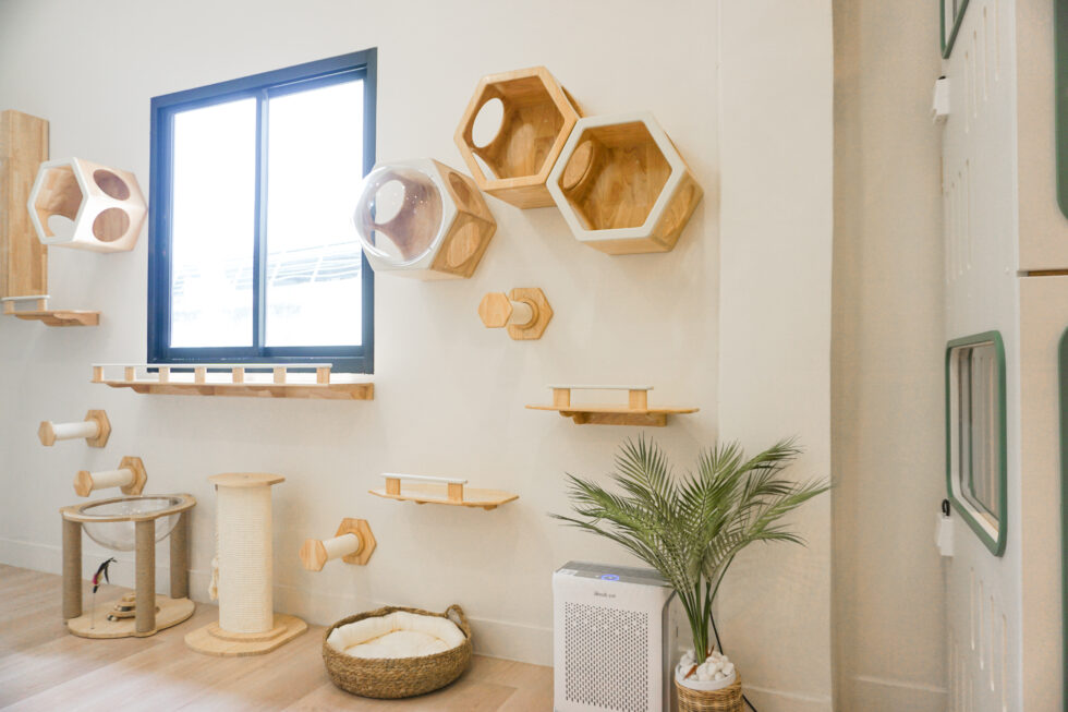 แกลลอรี่และรีวิว | Catyard Hotel