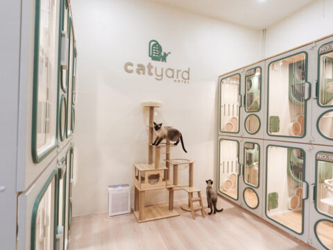 แกลลอรี่และรีวิว | Catyard Hotel