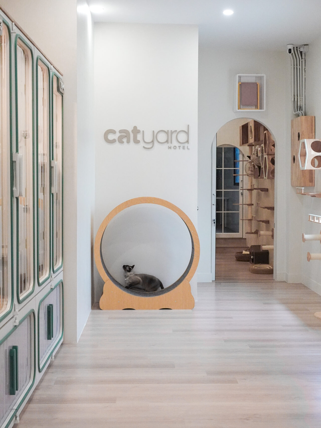 แกลลอรี่และรีวิว | Catyard Hotel