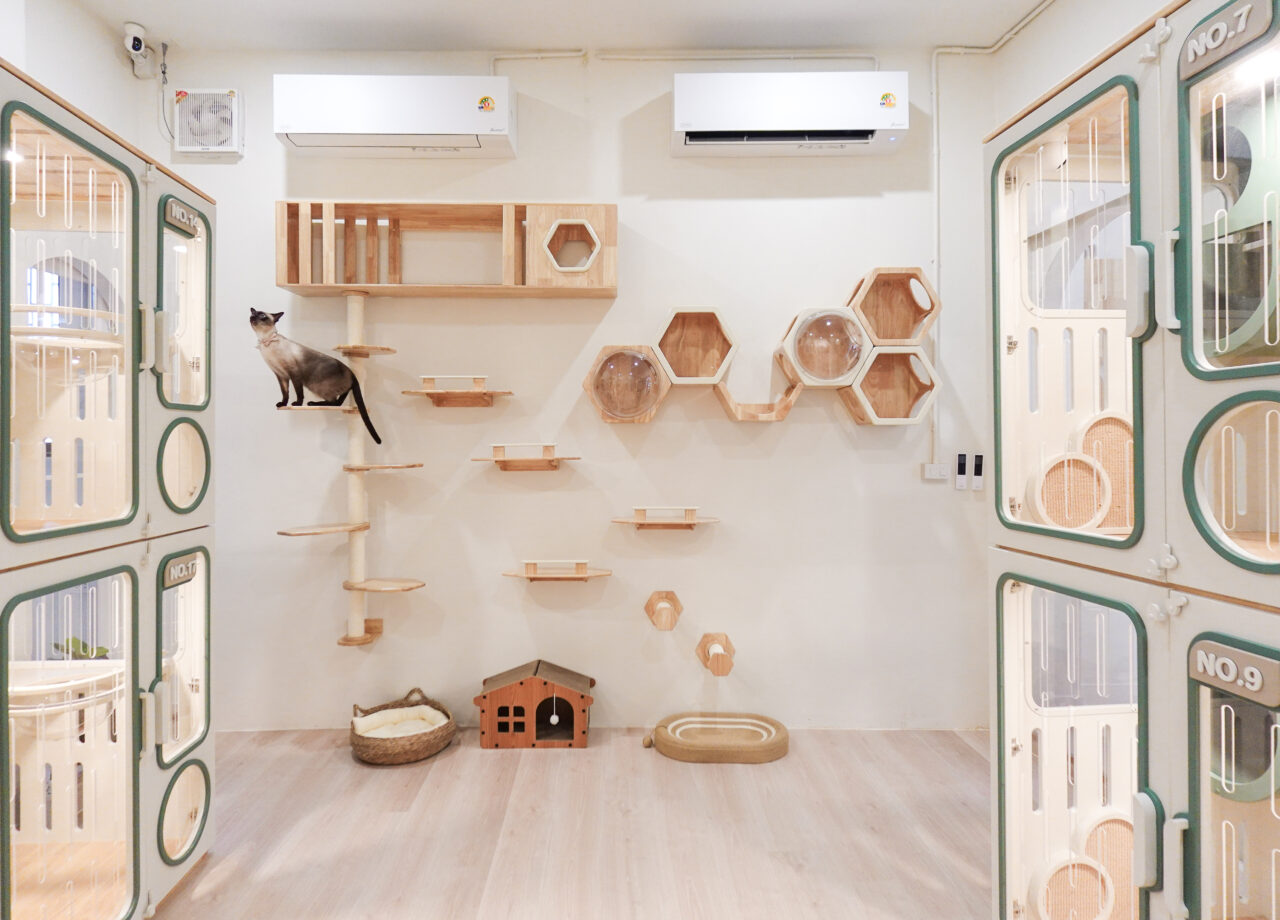 แกลลอรี่และรีวิว | Catyard Hotel